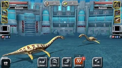 Mauisaurus