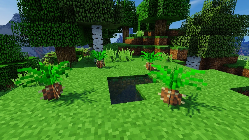 Cycadeoidea | JurassiCraftMod Wikia | Fandom