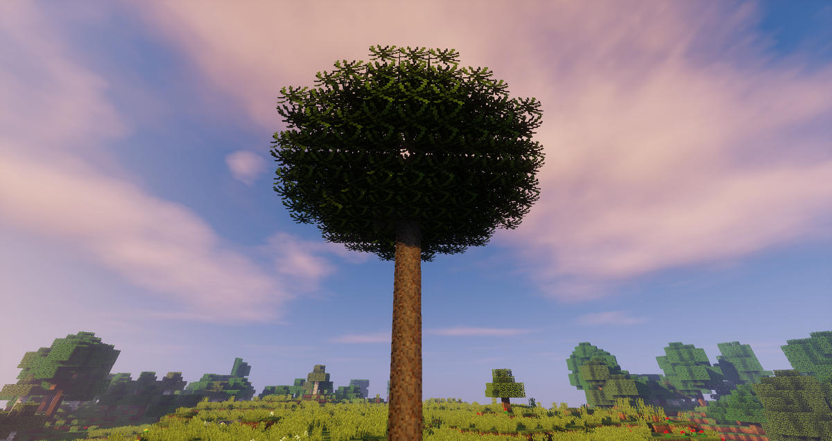 Araucaria Jurassicraftmod Wikia Fandom