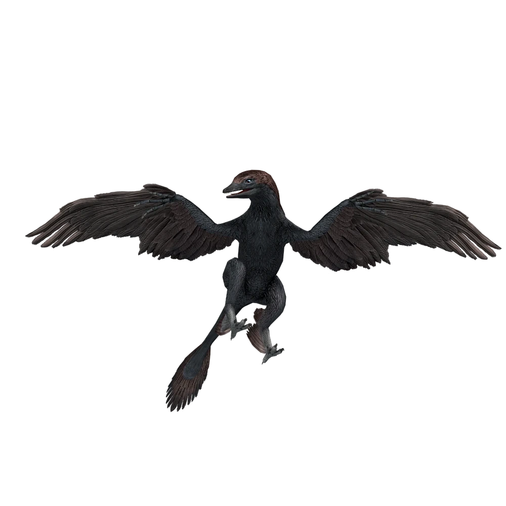 Microraptor | Jurassic World Evolution Fanon Wiki | Fandom