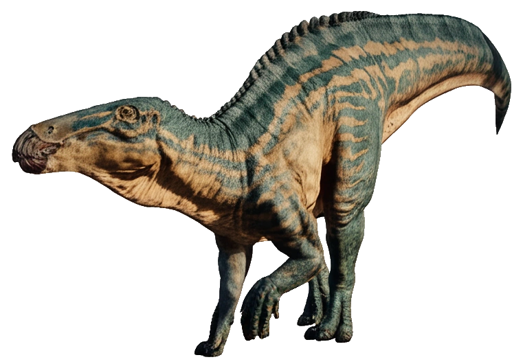 Shantungosaurus | Jurassic World Evolution Fanon Wiki | Fandom