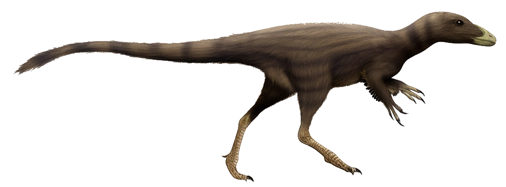 Dilong | Jurassic World Evolution Fanon Wiki | Fandom