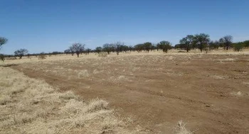 Toolebuc Formation | Jurassic World Evolution Wiki | Fandom