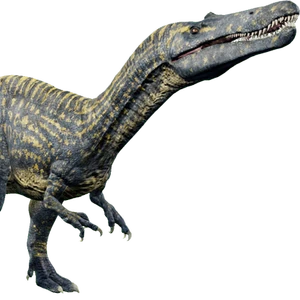 suchomimus evolution