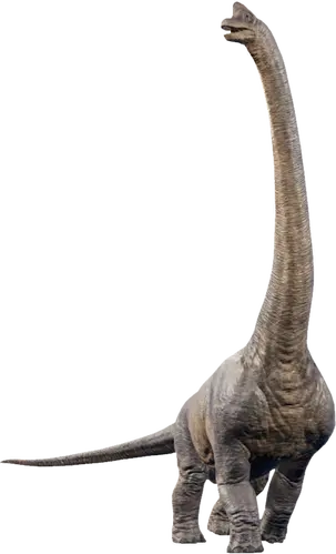 Brachiosaurus | Wiki Jurassicworld evolution | Fandom