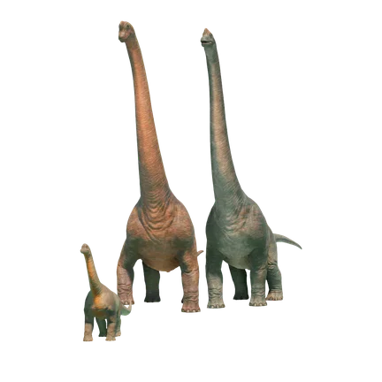 Brachiosaurus | Wiki Jurassicworld evolution | Fandom