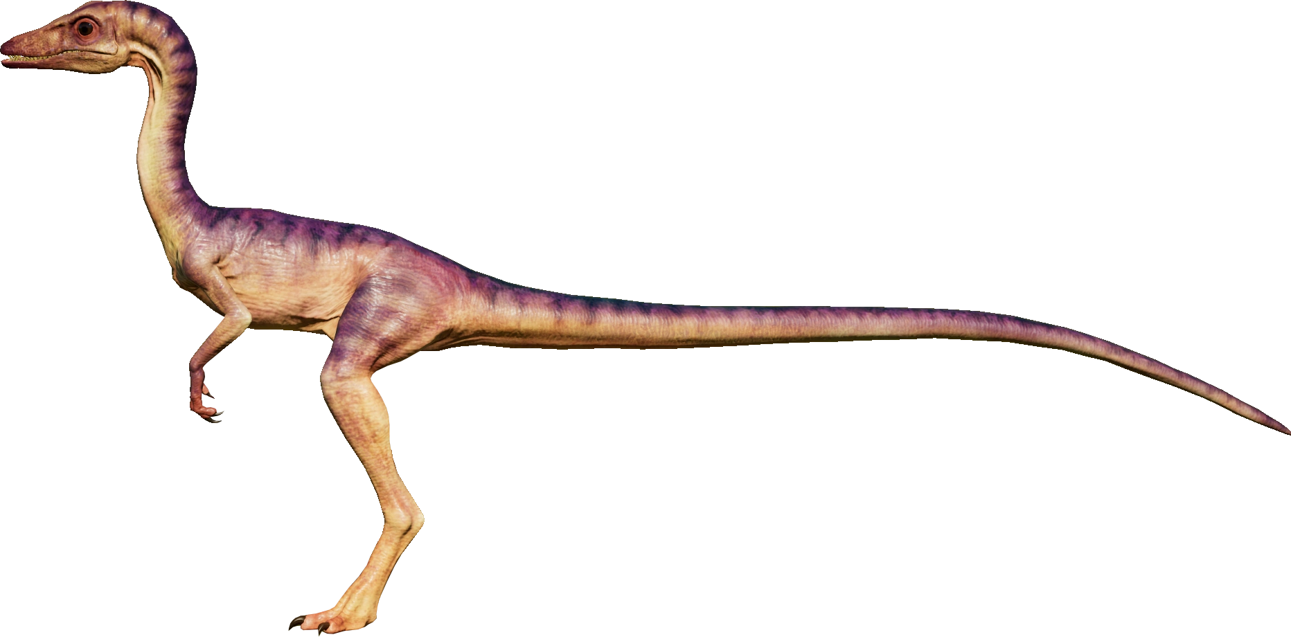 Compsognathus Minecraft Full Size