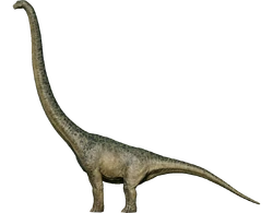 Jurassic Park Mamenchisaurus