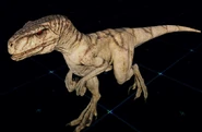 Atrociraptor | Jurassic World Evolution Wiki | Fandom