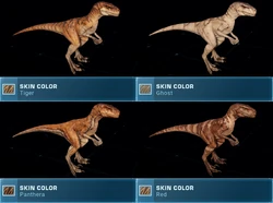 Atrociraptor | Jurassic World Evolution Wiki | Fandom
