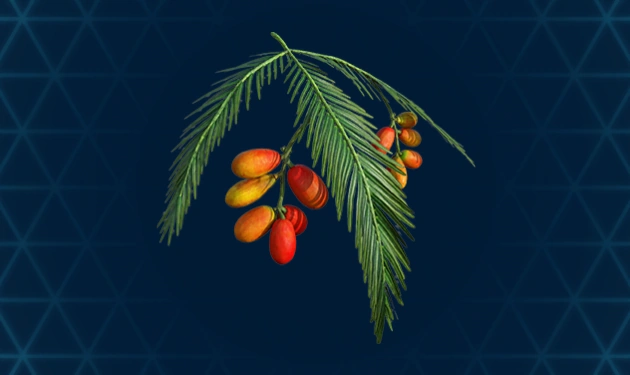 Conifers | Jurassic World Evolution Wiki | Fandom