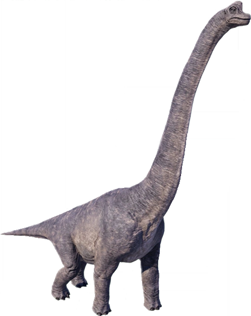 Brachiosaurus | Wiki Jurassicworld evolution | Fandom