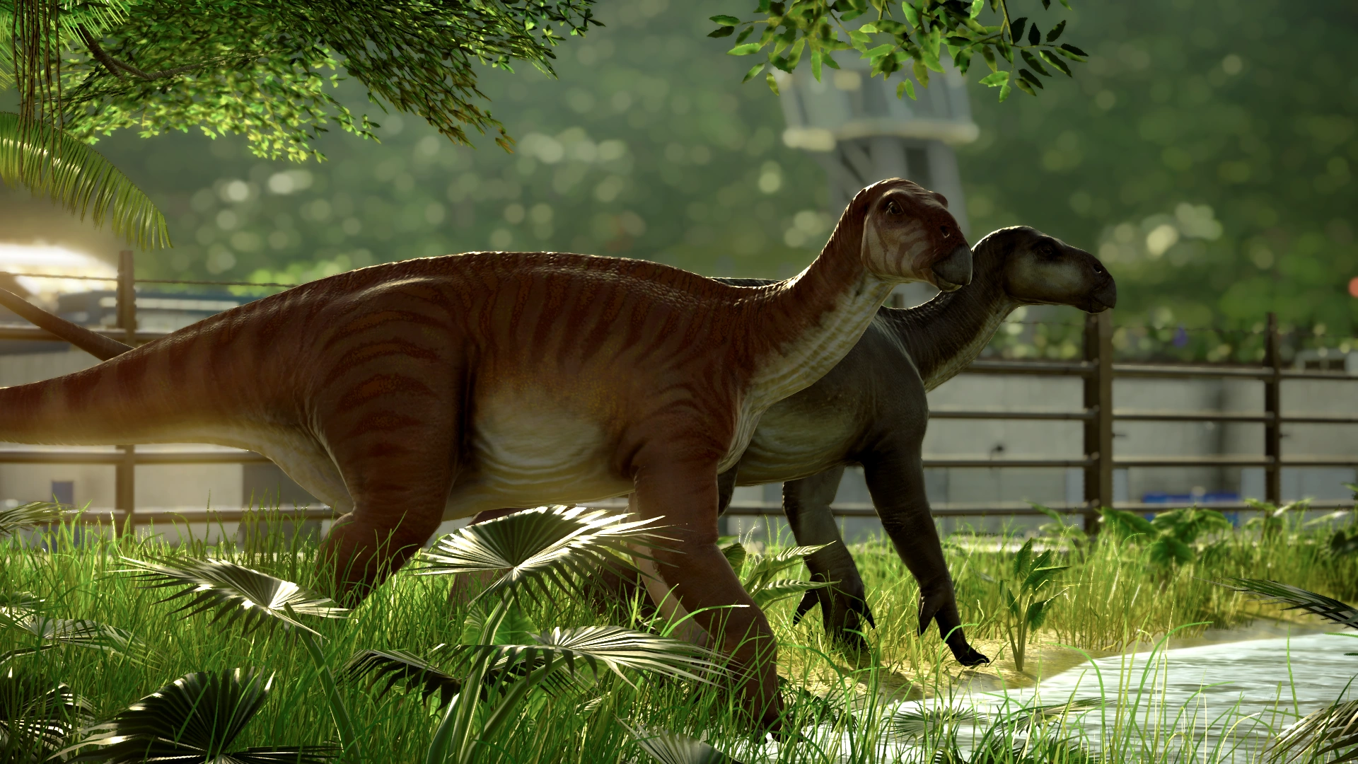 iguanodon jwe