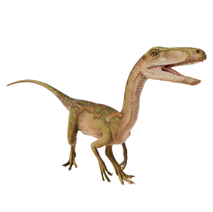 Segisaurus | Jurassic World Evolution Wiki | Fandom
