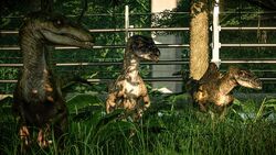 Spinoraptor | Jurassic World Evolution Wiki | Fandom