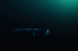 Marine reptile | Jurassic World Evolution Wiki | Fandom