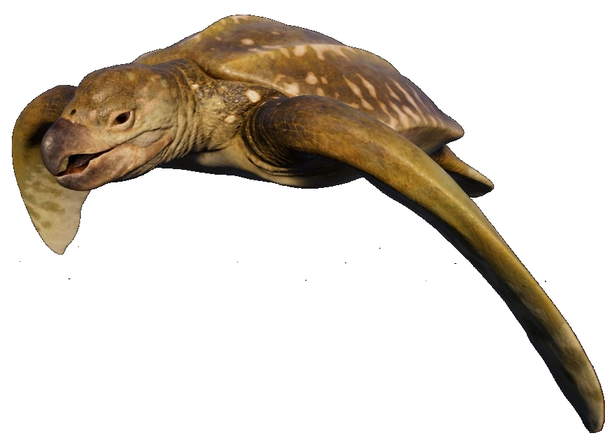Archelon | Jurassic World Evolution Wiki | Fandom