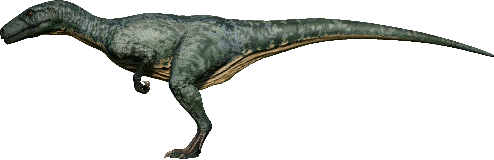 Herrerasaurus Size