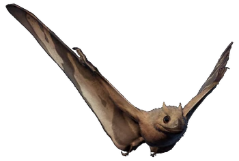 Jeholopterus | Jurassic World Evolution Wiki | Fandom