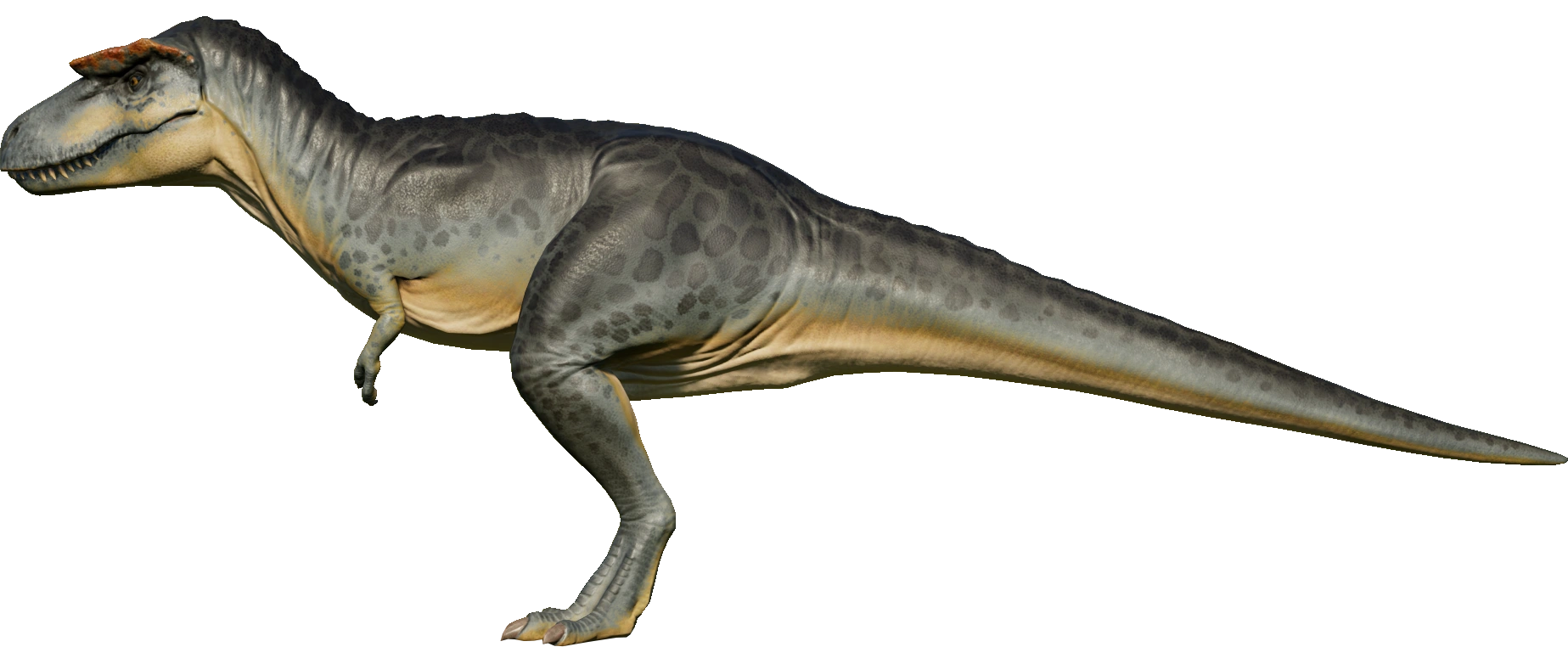 Jurassic Park Albertosaurus