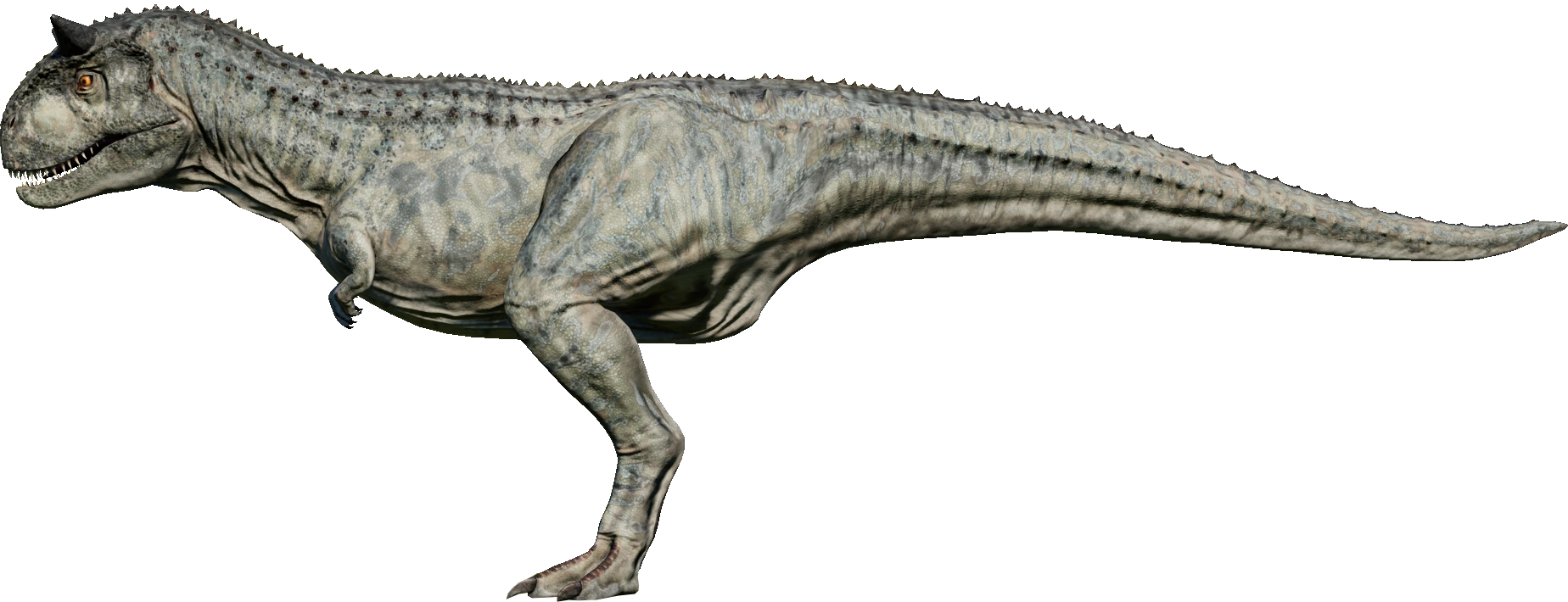 Carnotaurus Size