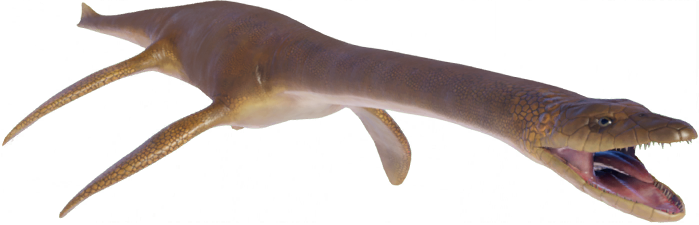 Plesiosaur Found Alive