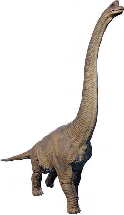 Category:Herbivores | Jurassic World Evolution Wiki | Fandom Category:Herbivores | Jurassic World Evolution Wiki | Fandom