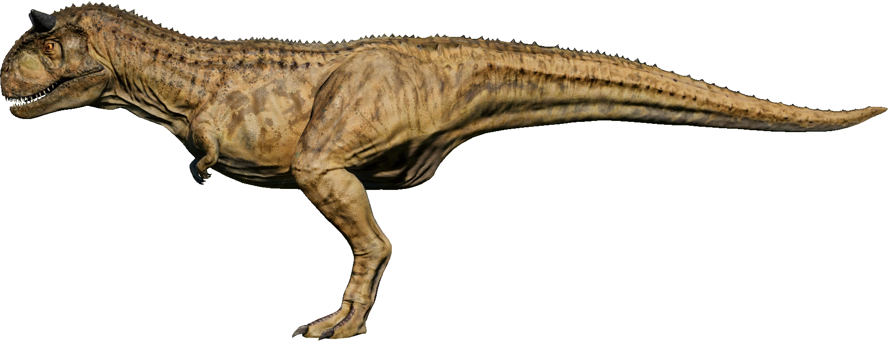 Spinosaurus The King On X: Toro The Carnotaurus RENDER, 55% OFF