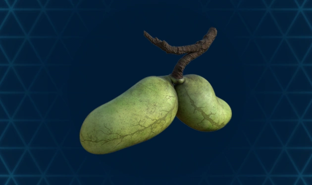 Paw Paw | Jurassic World Evolution Wiki | Fandom