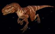 Atrociraptor | Jurassic World Evolution Wiki | Fandom