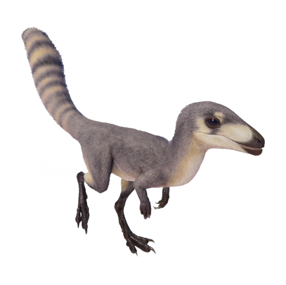 Sinosauropteryx | Jurassic World Evolution Wiki | Fandom Sinosauropteryx | Jurassic World Evolution Wiki | Fandom