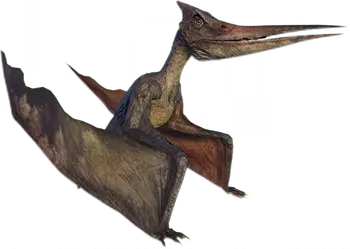 Pteranodon | Wiki Jurassicworld evolution | Fandom
