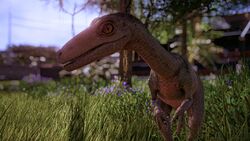 Troodon | Jurassic World Evolution Wiki | Fandom