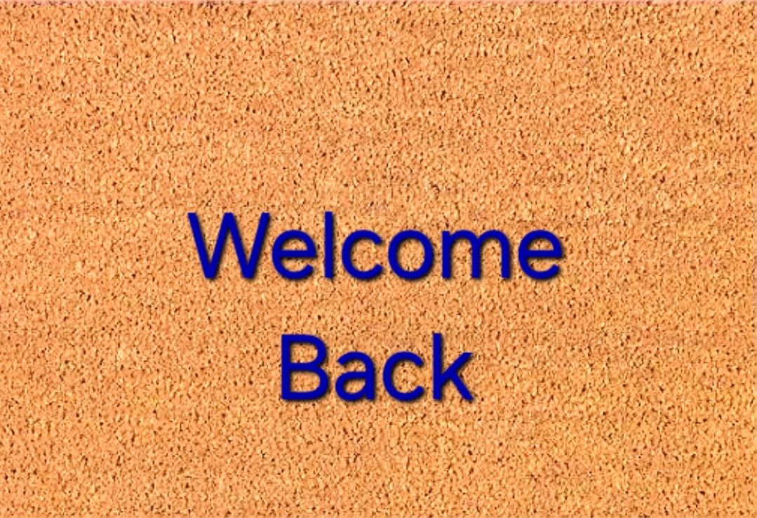 Welcome Back (Operation Indigo) | Just Cause Fan Fiction Wiki | Fandom