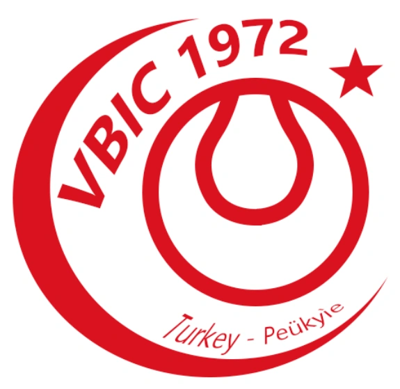 VBIC 1972 | Just My Mind Wiki | Fandom