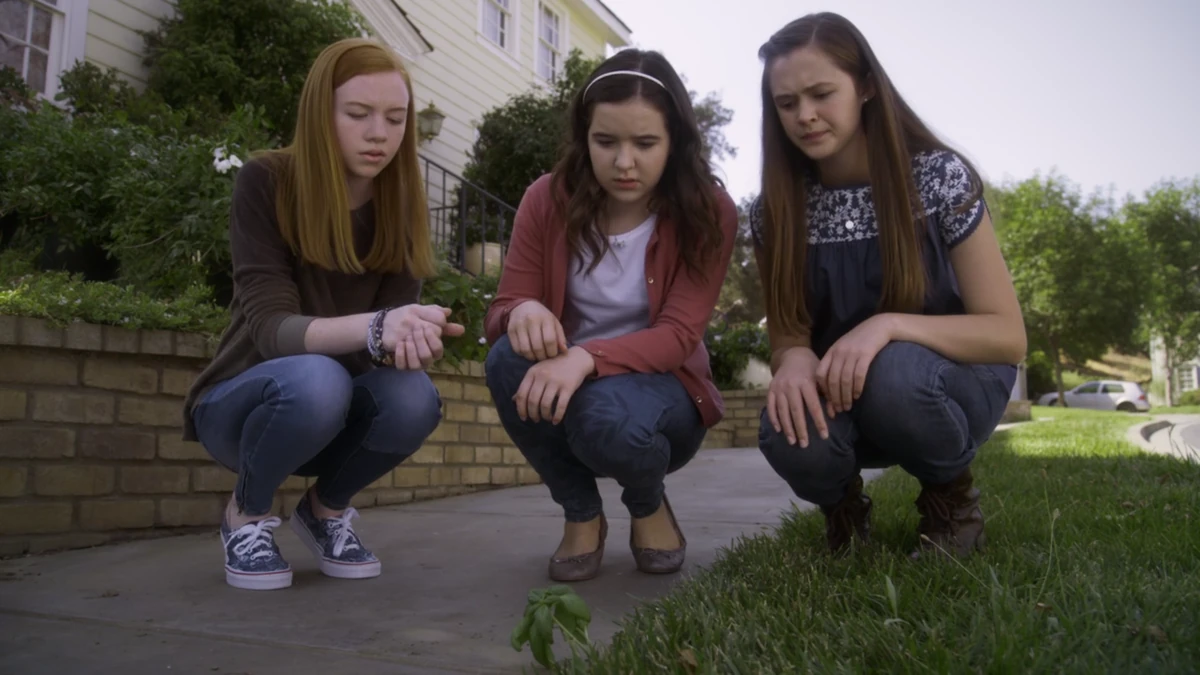 Just Add Plants | Just Add Magic Wiki | Fandom