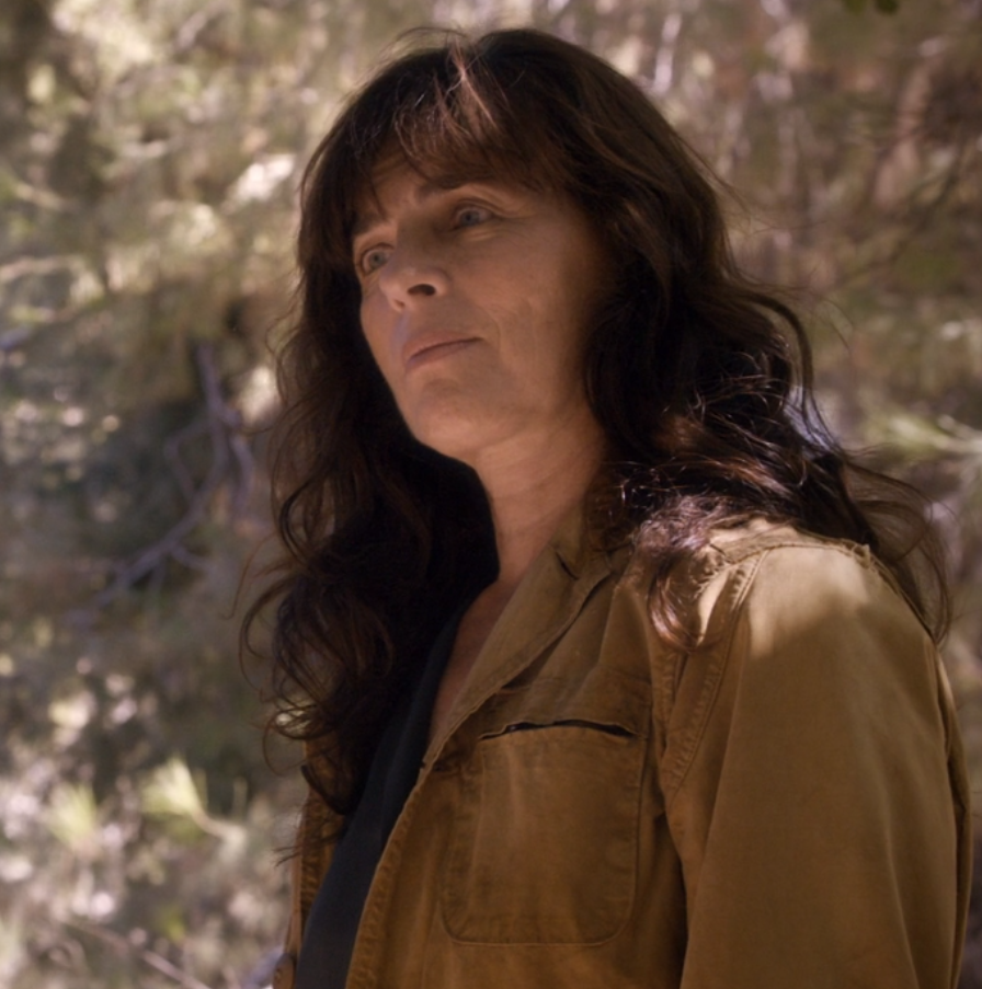 The Traveler | Just Add Magic Wiki | Fandom