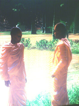 Panau | Just Cause Wiki | Fandom