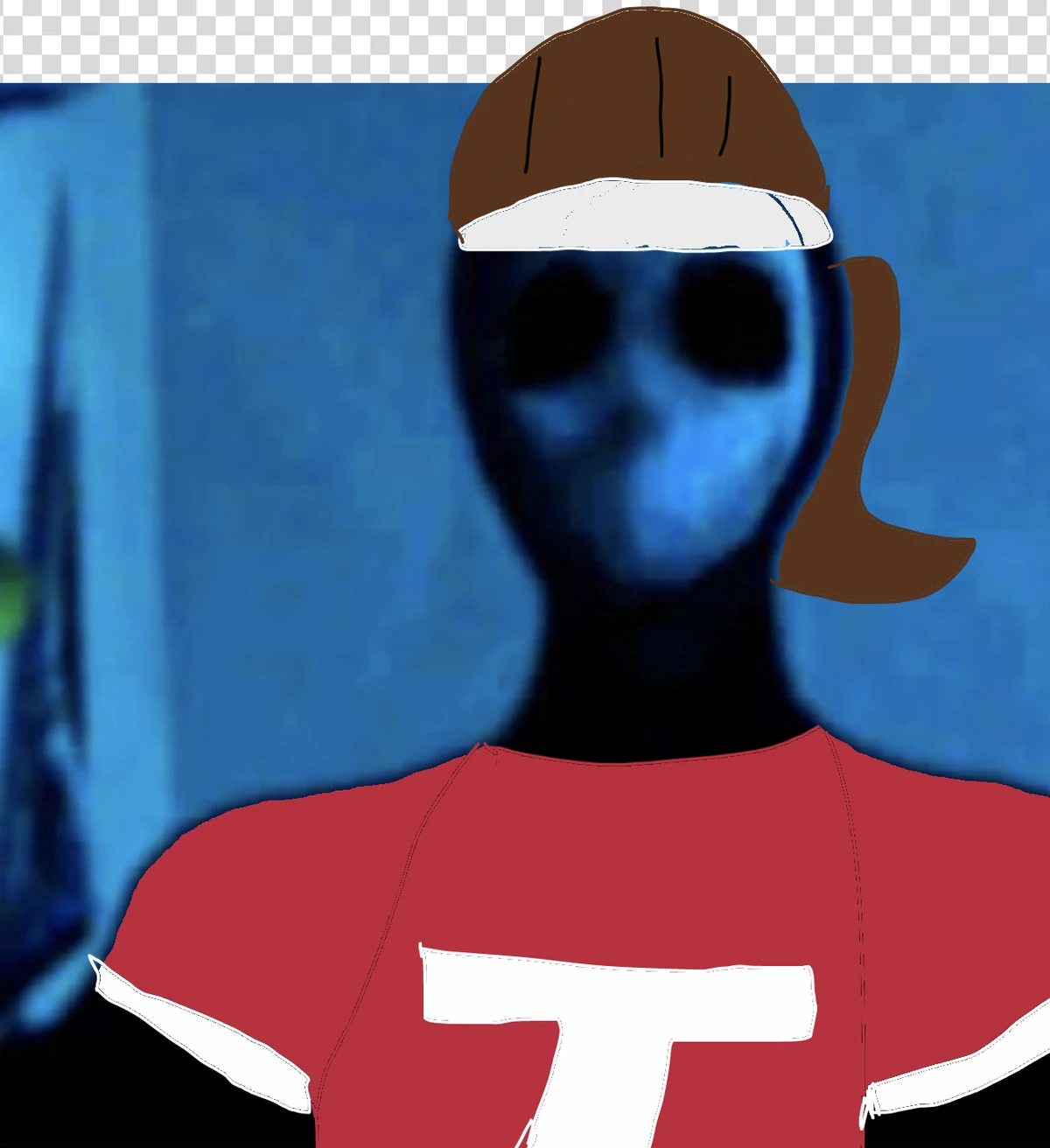 Toman | JusticeForToman Wiki | Fandom
