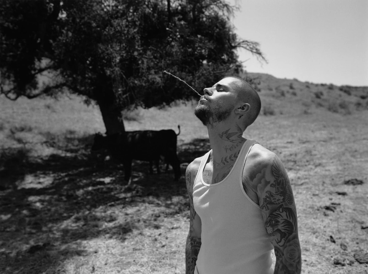 List of songs in movies and TV series | Justin Bieber Wiki | Fandom