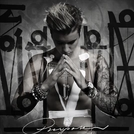 Purpose | Justin Bieber Wiki | Fandom