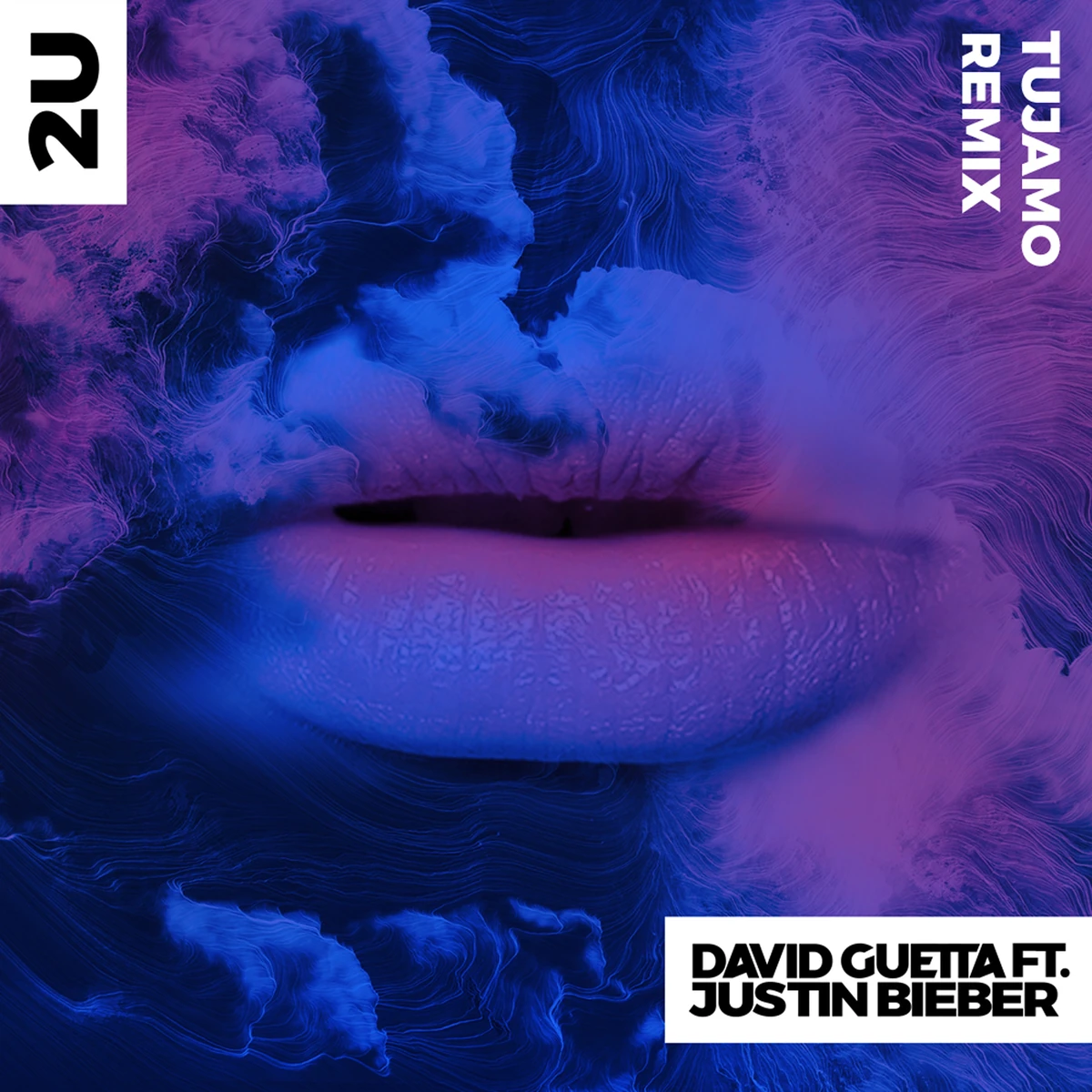 2u Tujamo Remix Justin Bieber Wiki Fandom
