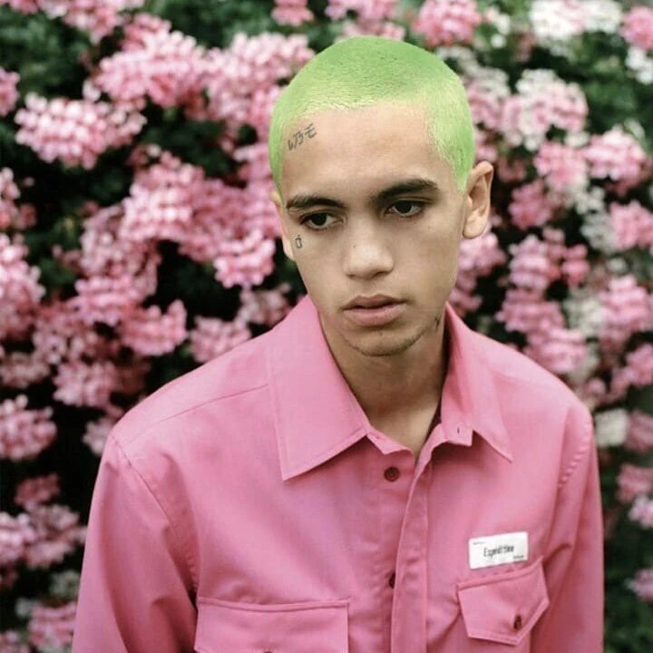 Dominic Fike | Justin Bieber Wiki | Fandom