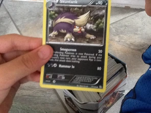 Robo Pokemon | Justinsong24 Wiki | Fandom