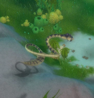 Brumeran | Justinsong24 Wiki | Fandom