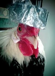 Boq Boq | JustLeafy's Wiki | Fandom