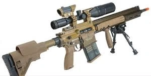 Marksman Rifle | JustLeafy's Wiki | Fandom