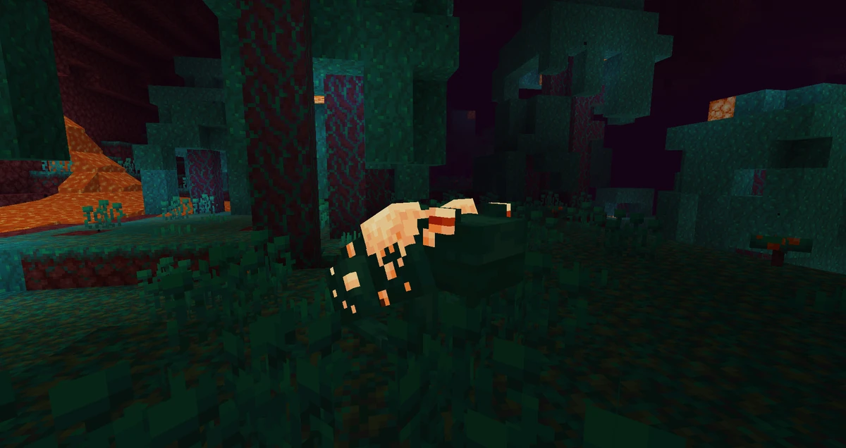 Warped Toad | JustRightMC Wiki | Fandom