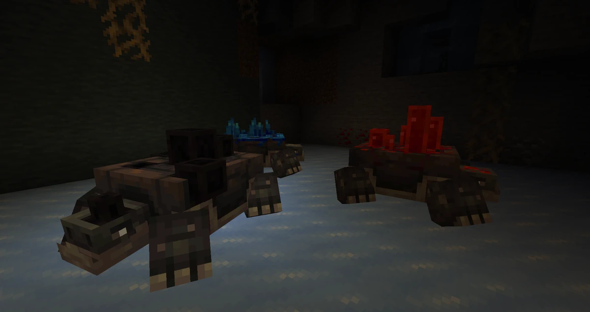 Toretoise | JustRightMC Wiki | Fandom