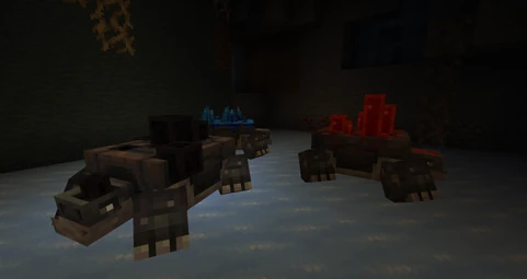 Toretoise | JustRightMC Wiki | Fandom